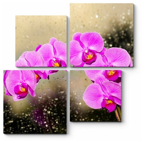 Модульная картина Роскошная орхидея 170x170