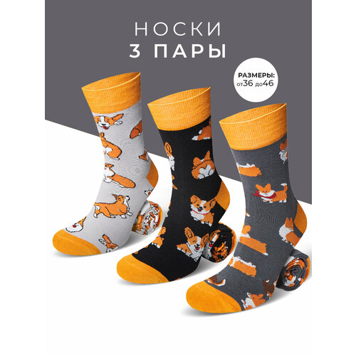 Носки Мачо, 3 пары, 3 уп., размер 43-46, черный, оранжевый, серый