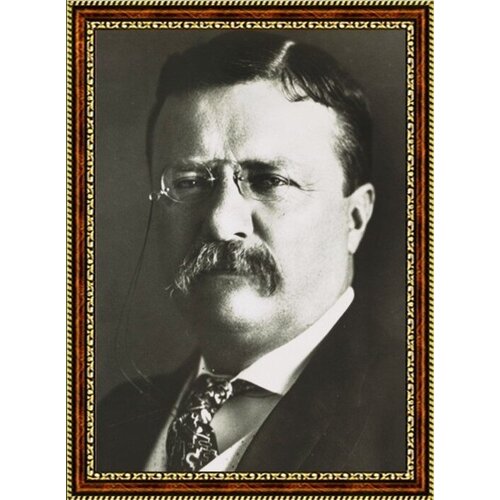 Портрет президента США Теодора Рузвельта, 30х40 см, в рамке