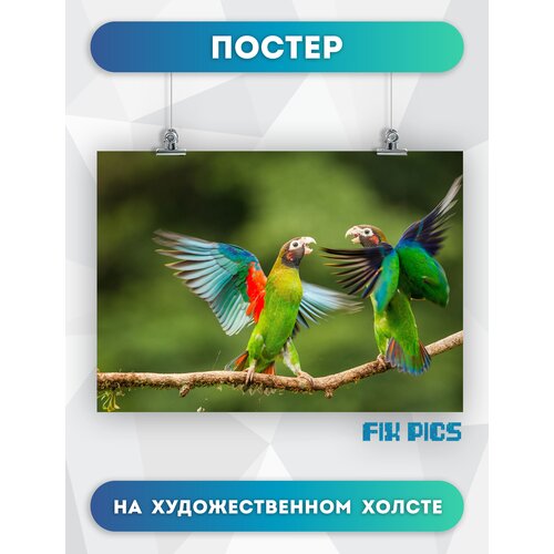 Постер на холсте Попугай (30) 30х40 см