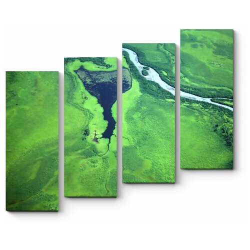 Модульная картина Зеленые поля и река с высоты птичьего полета160x138