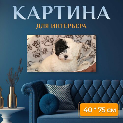 Картина на холсте "Собака, щенок, белая собака" на подрамнике 75х40 см. для интерьера