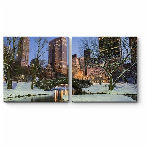 Модульная картина Зимний вид Центрального Парка160x80