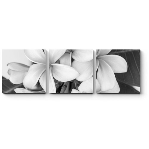 Модульная картина Аромат белых цветов 140x47