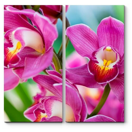 Модульная картина Тайские орхидеи, Чиангмай (Таиланд) 60x60