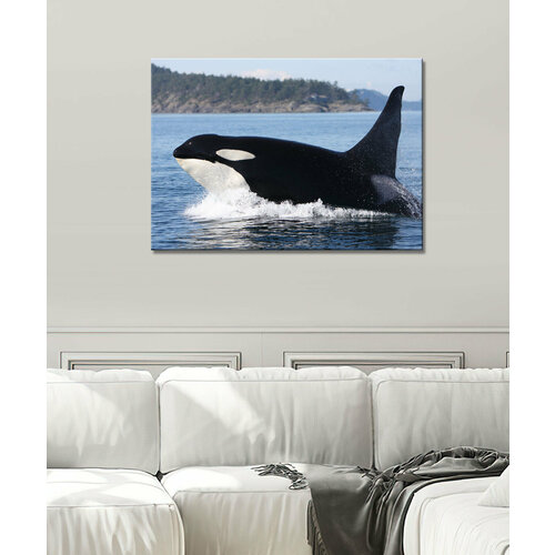 Картина - Косатка, косатка хищник, косатка китообразная, косатка кит (8) 20х30