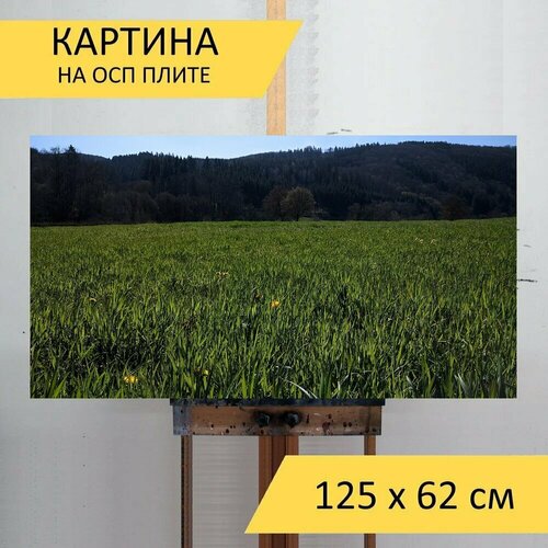 Картина на ОСП 125х62 см. "Трава, природа, луг" горизонтальная, для интерьера, с креплениями