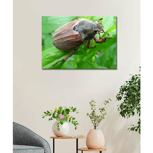 Картина - майский жук, жук, весна, крупный жук, природа, макро (2) 40х60