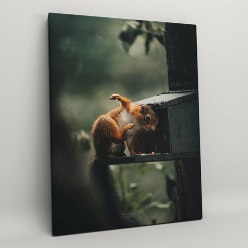 Картина на холсте (интерьерный постер) "Белочка ест орешки" животные, с деревянным подрамником, размер 45x60 см