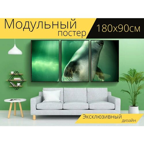 Модульный постер "Тюлень, плавать, подводный" 180 x 90 см. для интерьера