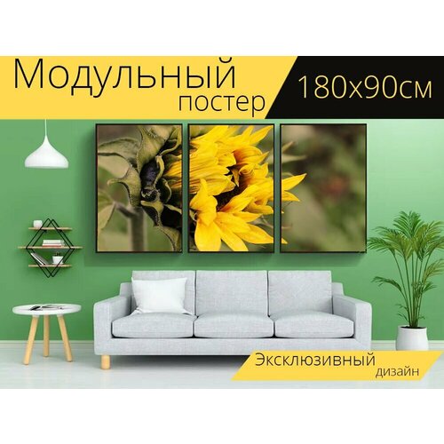 Модульный постер "Подсолнух, цветок, цвести" 180 x 90 см. для интерьера