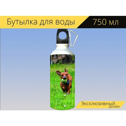 Бутылка фляга для воды "Такса, собака, мяч" 750 мл. с карабином и принтом
