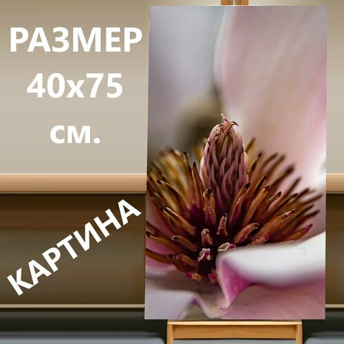 Картина на холсте "Магнолии, цветок магнолии, магнолия" на подрамнике 40х75 см. для интерьера