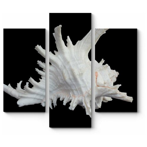 Модульная картина Морская раковина70x63