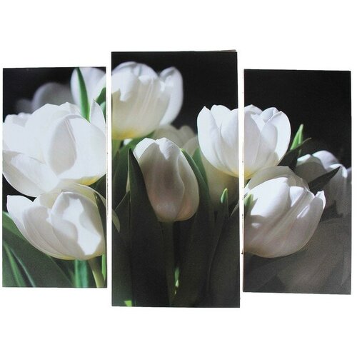 Модульная картина "Белые тюльпаны" (2-25х52; 1-30х60) 60х80 см