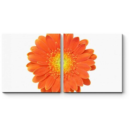 Модульная картина Огненно-оранжевая гербера 50x25