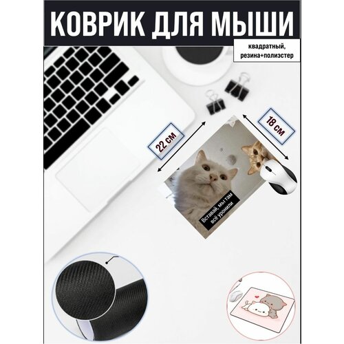 Коврик для мышки / Компьютерный ковер для мыши Коты