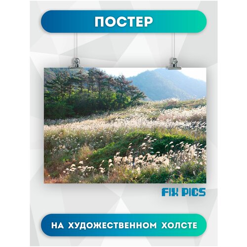 Постер на холсте поле с цветами, лето природа (89) 30х40 см