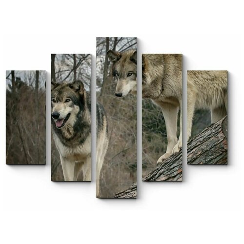 Модульная картина Волки в осеннем лесу 75x60
