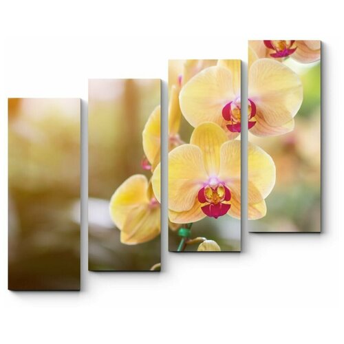 Модульная картина Чарующая орхидея 90x78