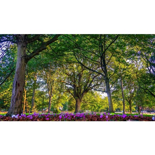 Картина на холсте 60x110 LinxOne "Цветы London England парк" интерьерная для дома / на стену / на кухню / с подрамником