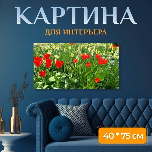 Картина на холсте "Тюльпаны, тюльпан, нарциссы" на подрамнике 75х40 см. для интерьера