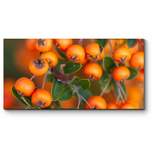 Модульная картина Спелые ягоды рябины 170x85