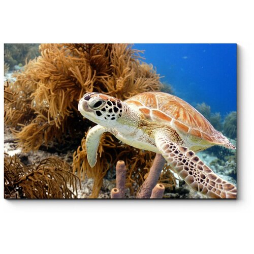 Модульная картина Черепаха, плывущая в коралловом рифе 110x73