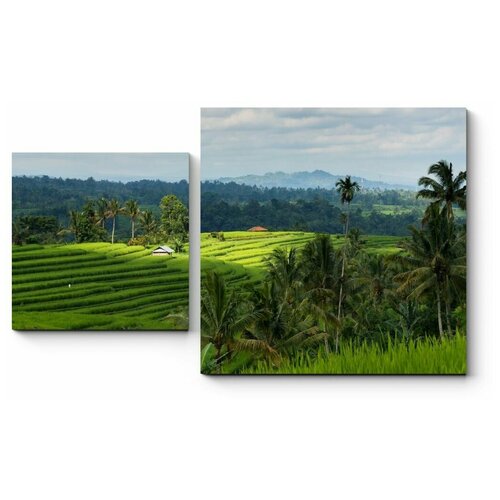 Модульная картина Бали, рисовые поля 90x54