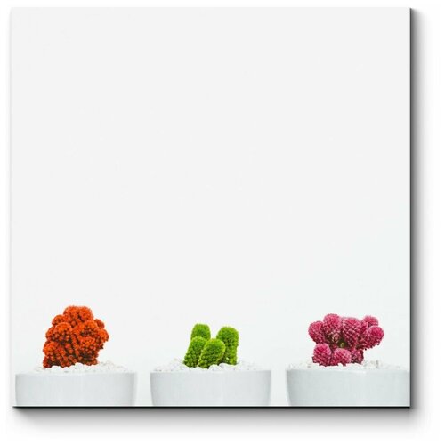 Модульная картина Разноцветные кактусы30x30