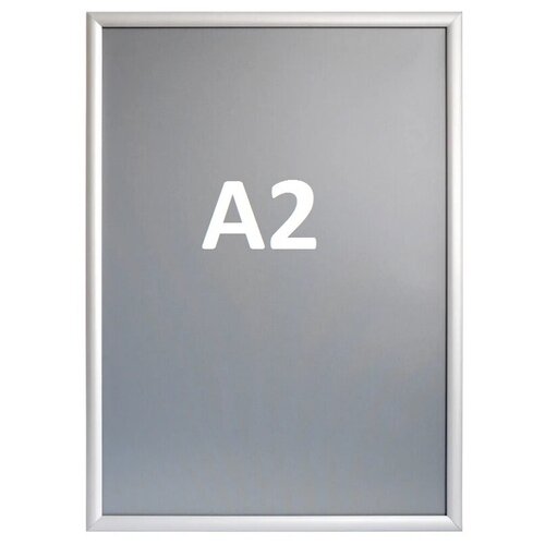 Рамка 42,0 x 59,4 (А2) алюминий 25 мм IAL