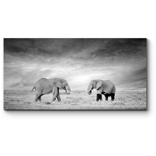 Модульная картина Слоны в национальном парке 130x65