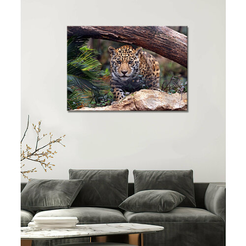 Картина/Ягур/Ягуар в джунглях/Ягуар на дереве/Черный ягуар/ - Ягуар (36) 60х80