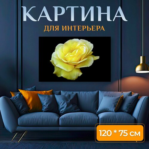 Картина на холсте "Роуз, цветок, крупным планом" на подрамнике 120х75 см. для интерьера