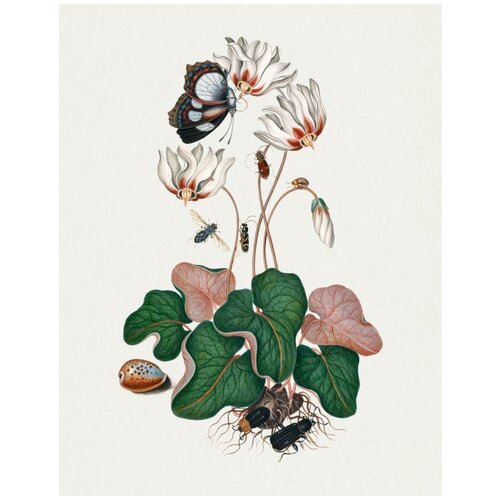 Постер / Плакат / Картина Бабочки - Бабочки и нежные цветы 40х50 см в подарочном тубусе
