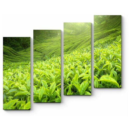 Модульная картина Бескрайняя зелень полей 150x129