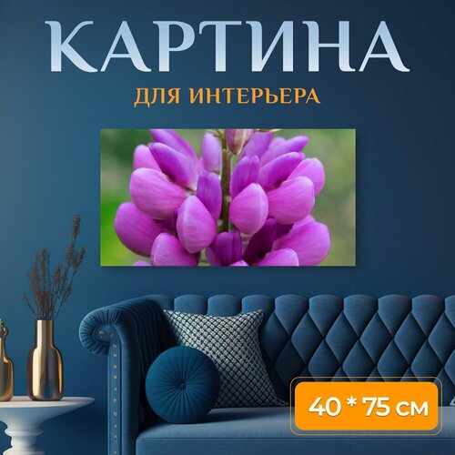 Картина на холсте "Люпин, цветок, завод" на подрамнике 75х40 см. для интерьера