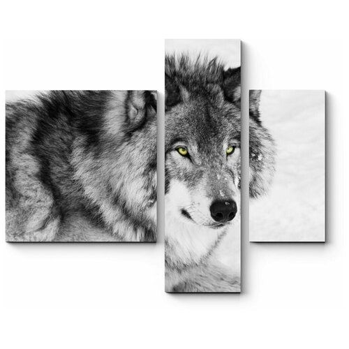 Модульная картина Черно-белый портрет волка 90x74