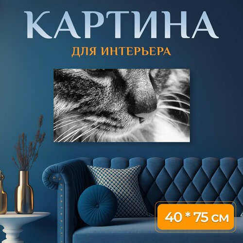 Картина на холсте "Кот, черно белое изображение, мобильный телефон" на подрамнике 75х40 см. для интерьера