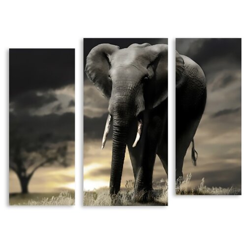 Модульная картина на холсте "Серый слон" 90x70 см