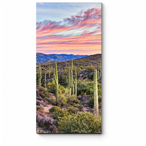 Модульная картина Закат в пустыне Соноран 50x100