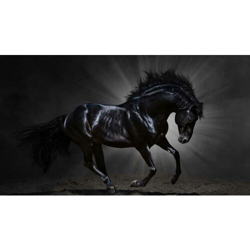 Картина на холсте 60x110 LinxOne "Лошади лошадь грива" интерьерная для дома / на стену / на кухню / с подрамником