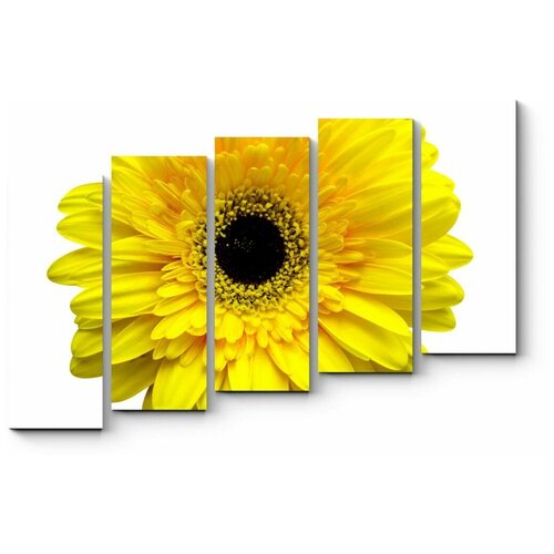 Модульная картина Солнечная гербера 140x98