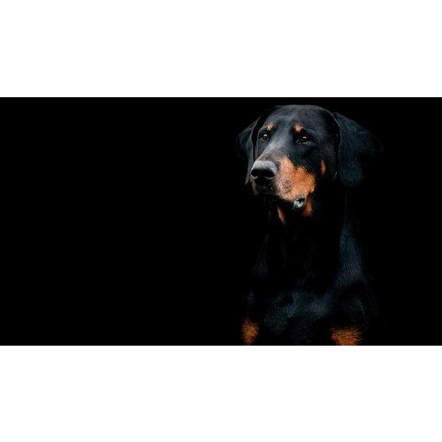 Картина на холсте 60x110 LinxOne "Взгляд собака друг" интерьерная для дома / на стену / на кухню / с подрамником