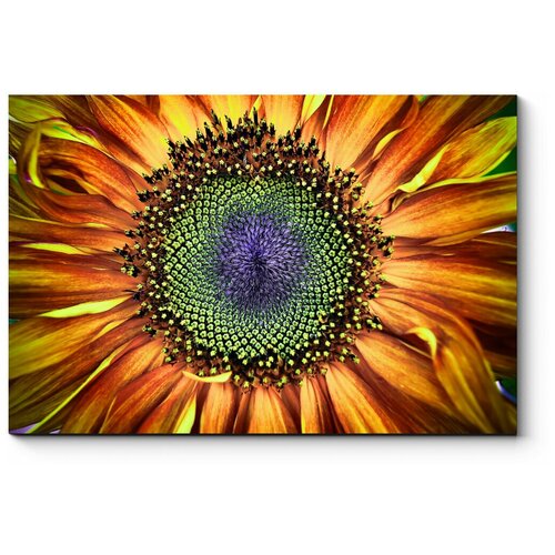 Модульная картина Внутри цветка солнца 40x27