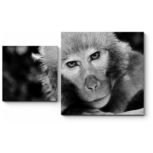 Модульная картина Портрет харизматичной обезьянки180x108