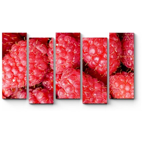 Модульная картина Крупные ягоды малины 140x81