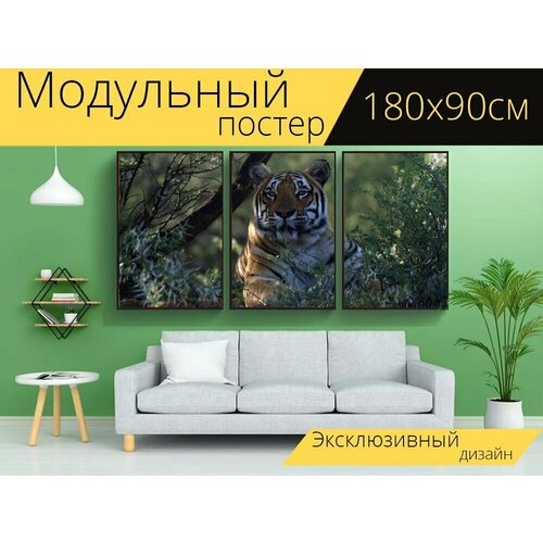 Модульный постер "Тигр, животное, дикая природа" 180 x 90 см. для интерьера