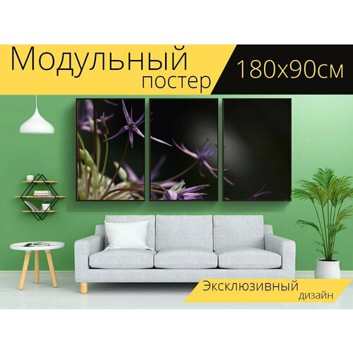 Модульный постер "Цветок, фиолетовый, сад" 180 x 90 см. для интерьера