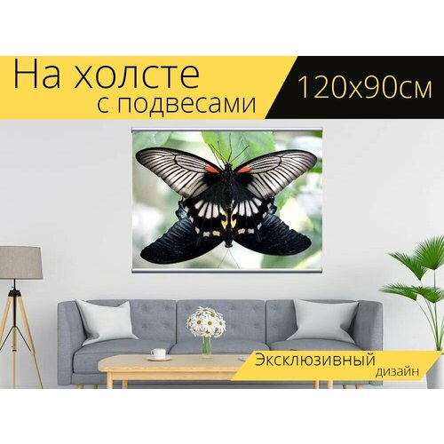 Картина на холсте "Бабочки, спаривание, бабочка" с подвесами 120х90 см. для интерьера